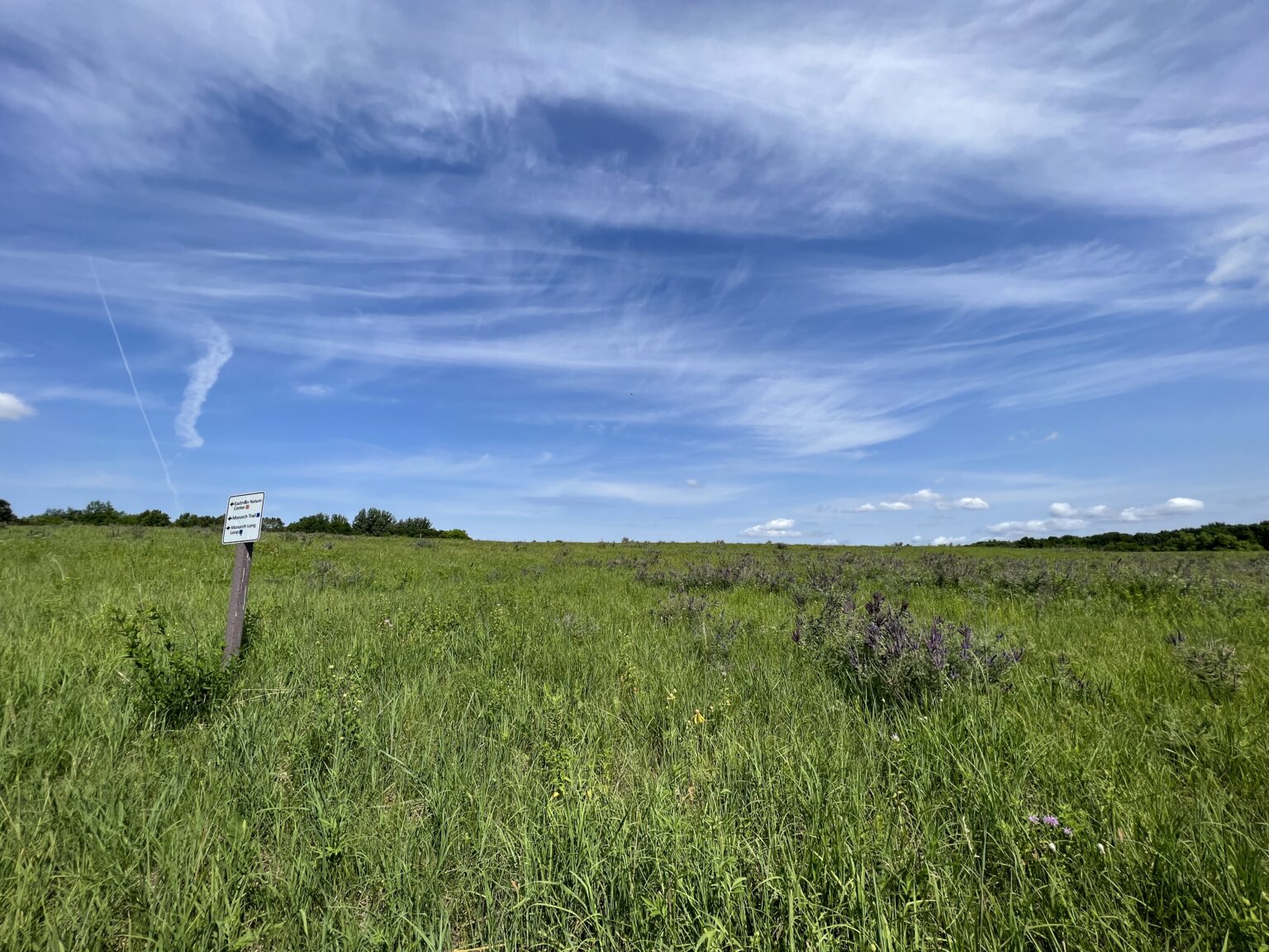 Moving to Maple Grove MN - Twin Cities NW Metro Life